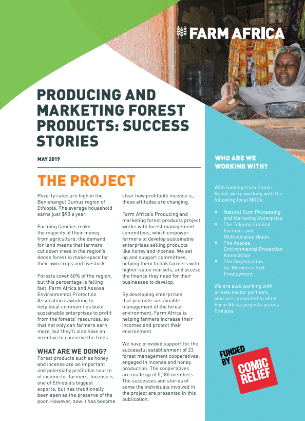 Producing and marketing forest products - Farm Africa