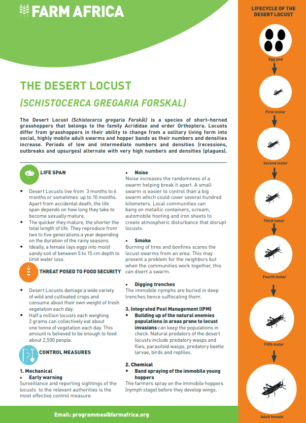 Control methods for Desert Locust - Farm Africa