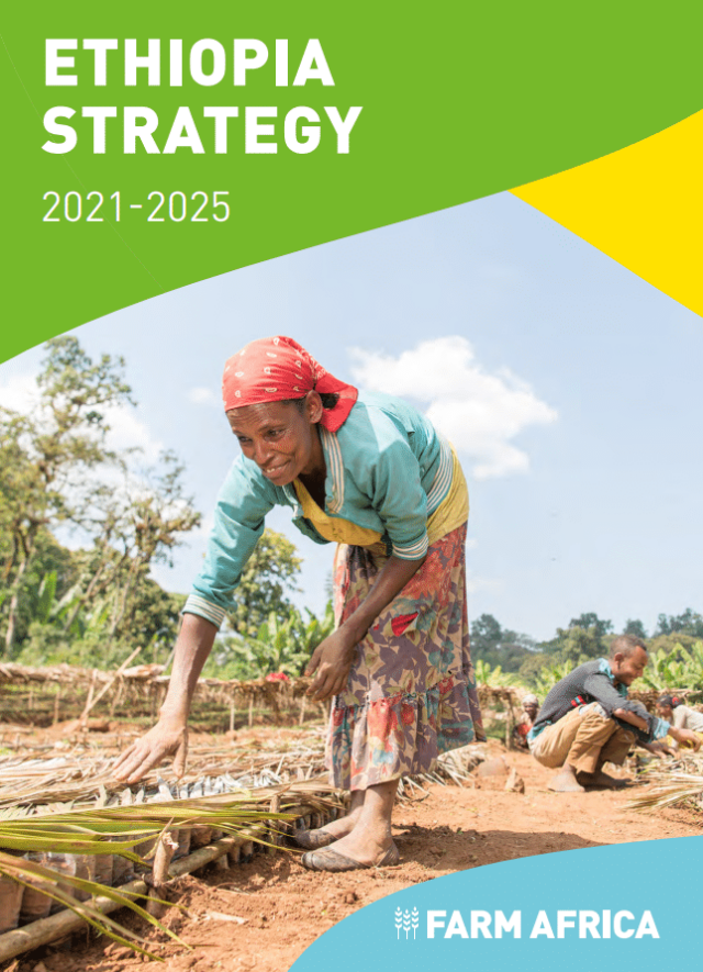 Ethiopia Strategy 2021-2025 - Farm Africa