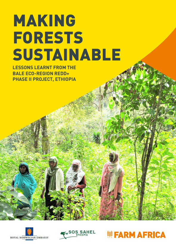 Forests for sustainable development - Farm Africa
