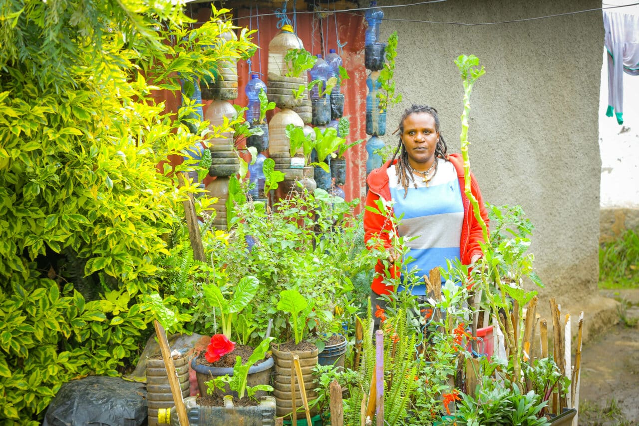 Low-income households piloted urban agriculture in Addis Ababa - Farm ...