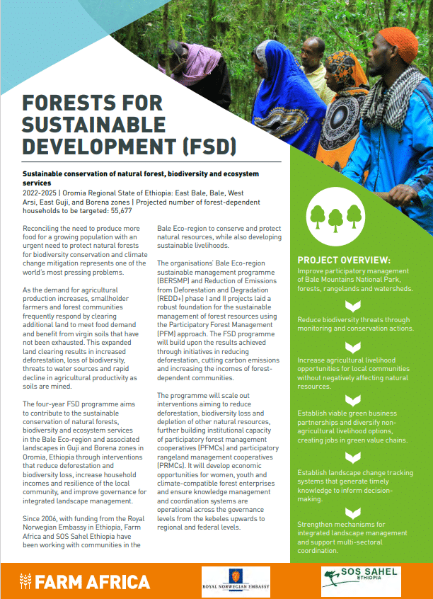 Forests For Sustainable Development Factsheet Farm Africa