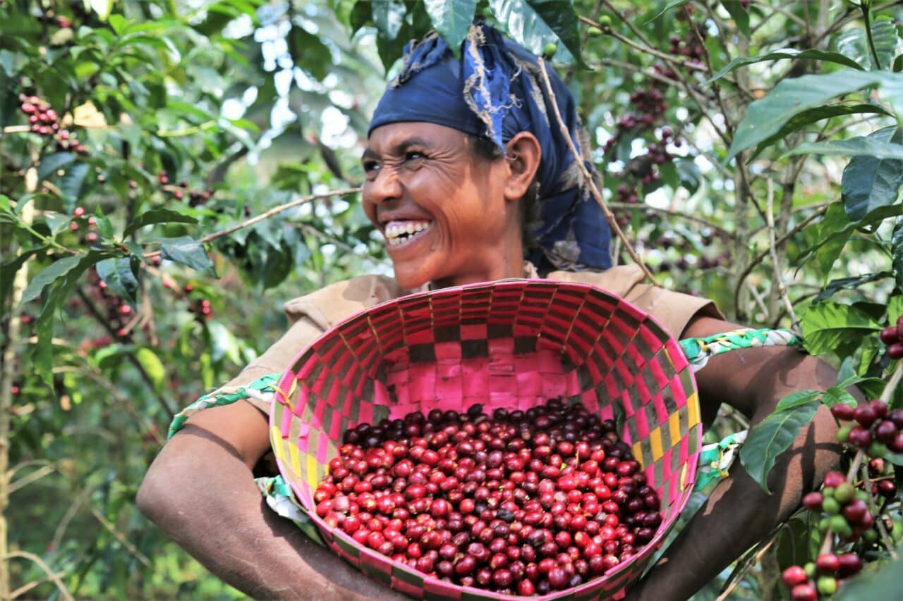 Connect farmers to markets - Farm Africa