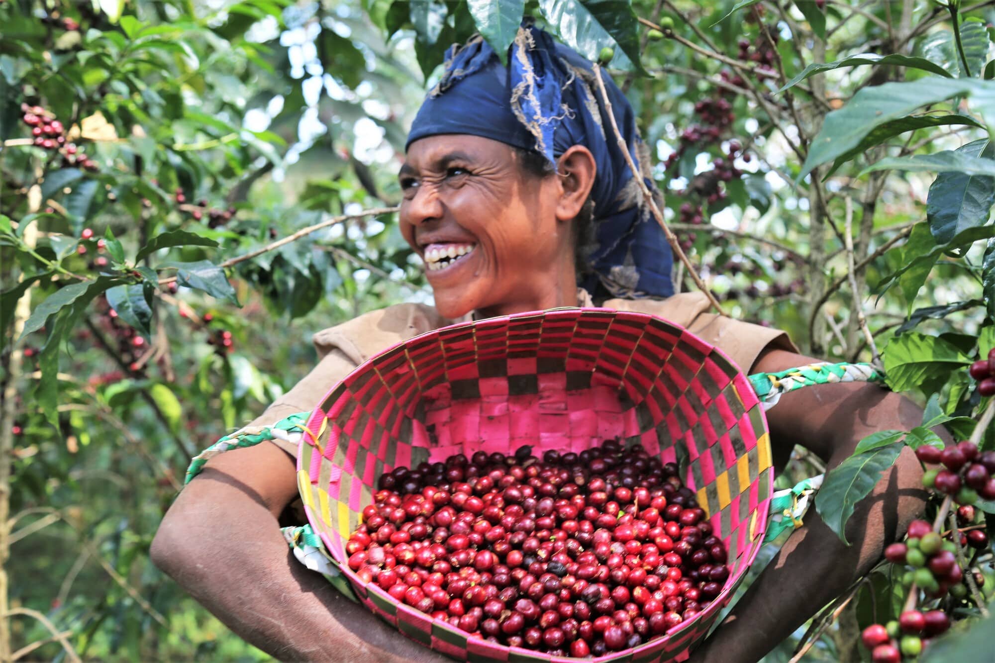 Uganda - Farm Africa