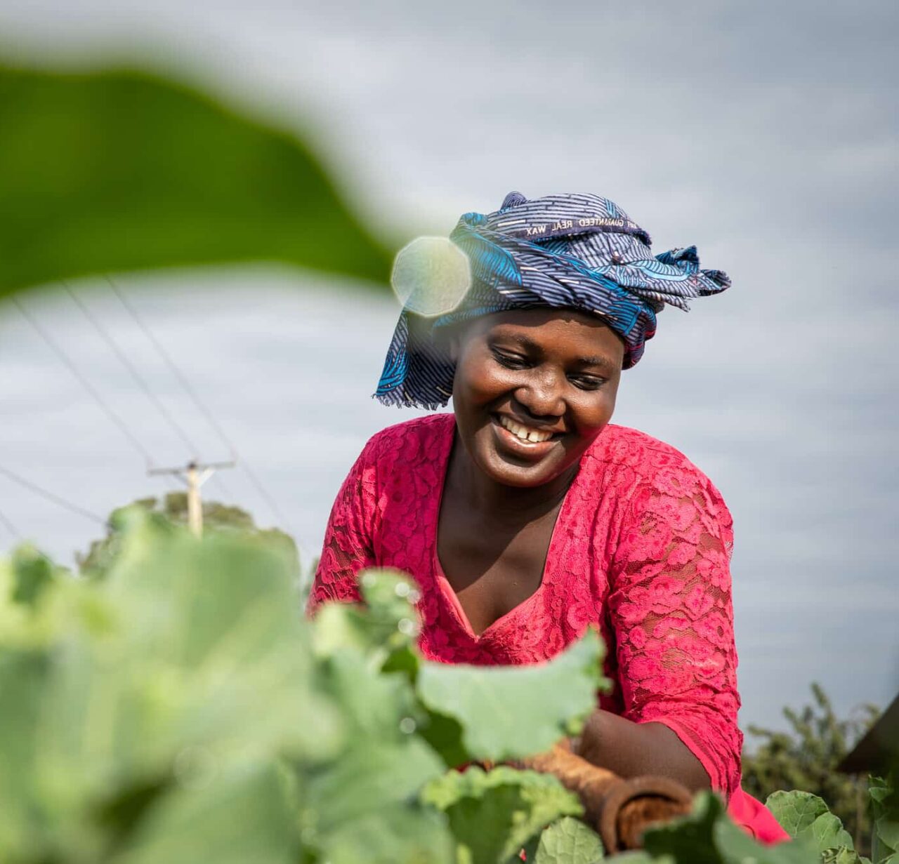 Kenya - Farm Africa