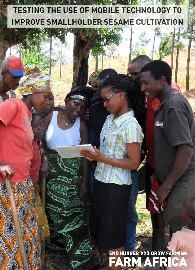 Cashew nut and sesame production and marketing - Farm Africa