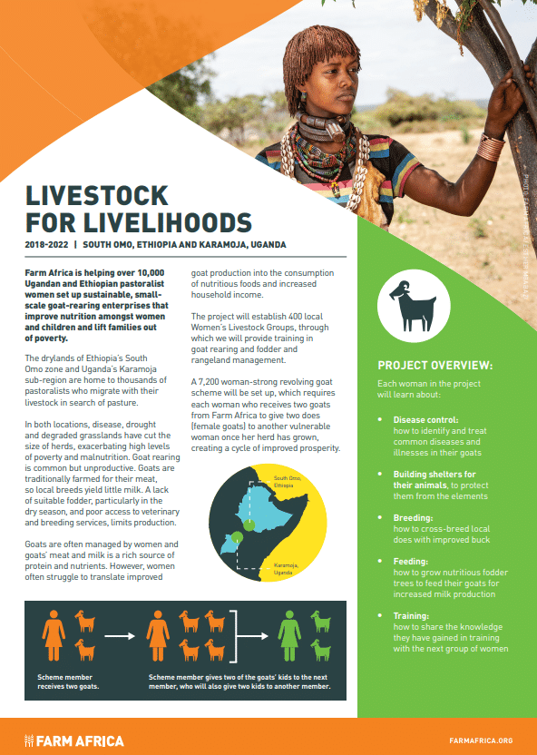 Livestock for livelihoods factsheet - Farm Africa