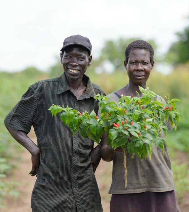 Uganda - Farm Africa