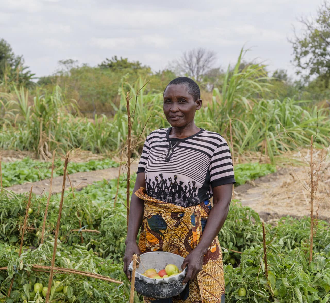 Boost productivity - Farm Africa