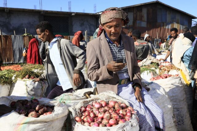 Strengthening agricultural market systems in Amhara, Ethiopia - Farm Africa