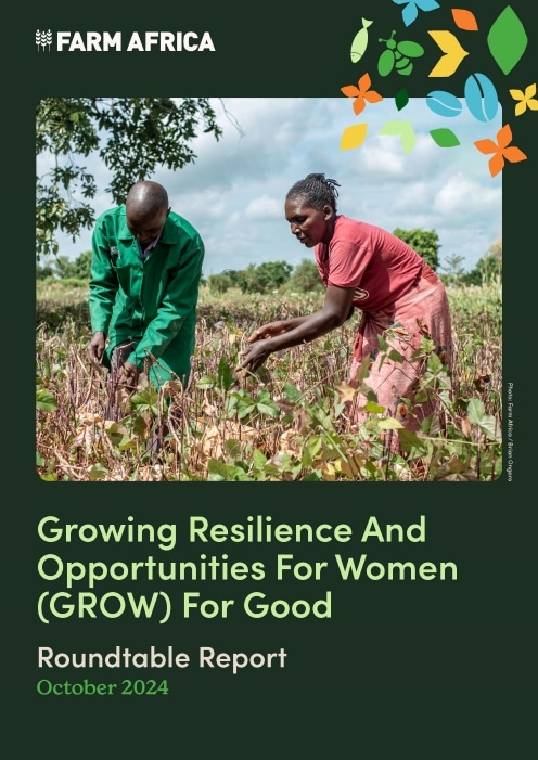 Growing Resilience And Opportunities for Women (GROW) Roundtable Report ...