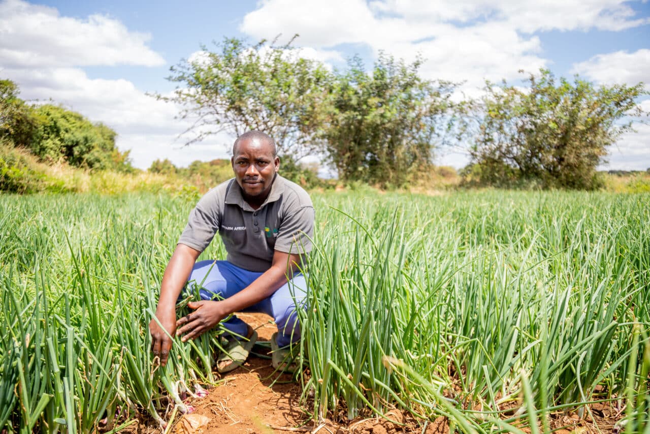 Kenya - Farm Africa