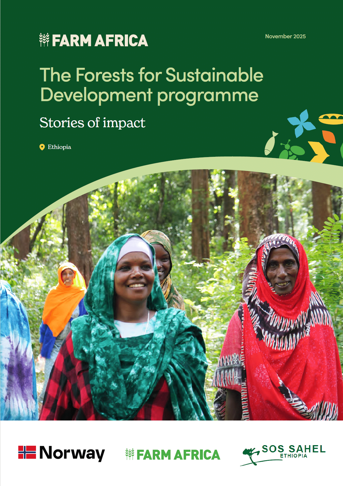 The Forests for Sustainable Development programme: stories of impact ...