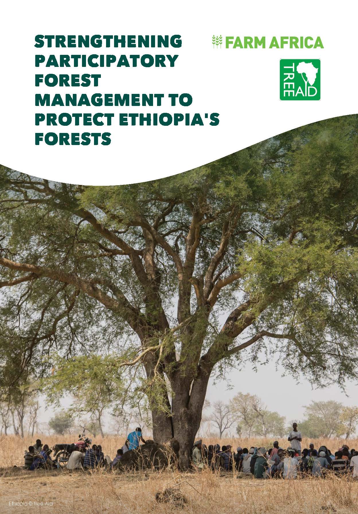 How participatory forest management protects trees and people - Farm Africa